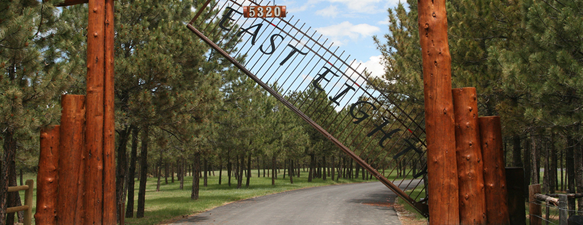 Types of Security Gates: Which One is Right for You? | Proptia